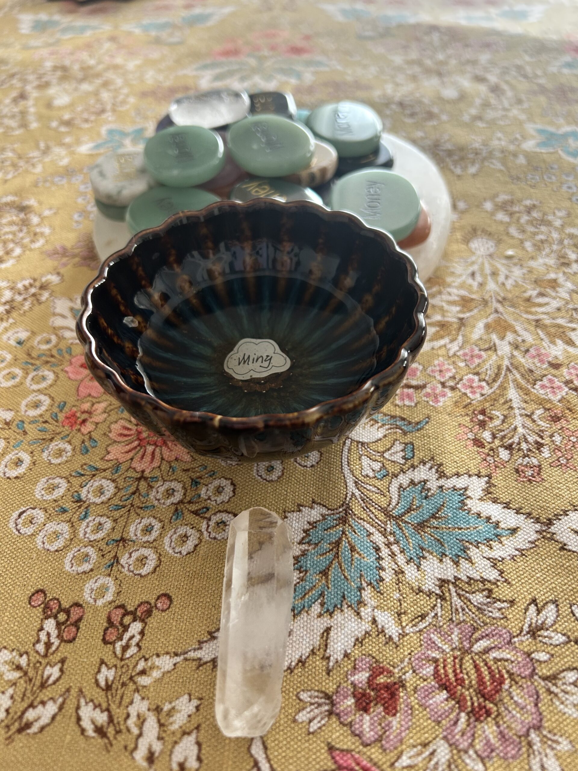 The Salt Water Ritual : Shaping My Year of Miracles - Ming Chee